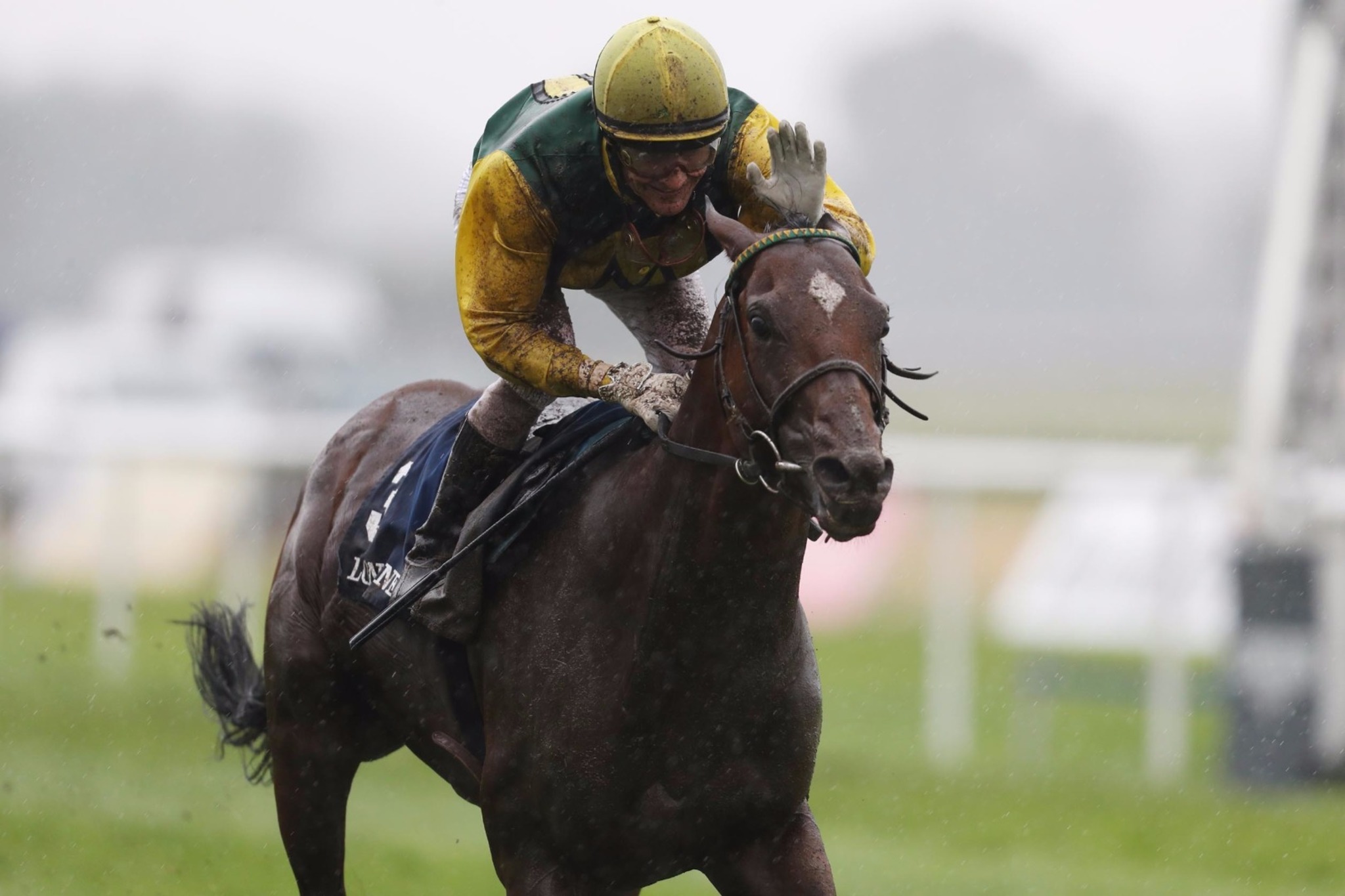 GALOPPSPORT: zwei Qualirennen bei der "Großen Woche": Baden Racing ...