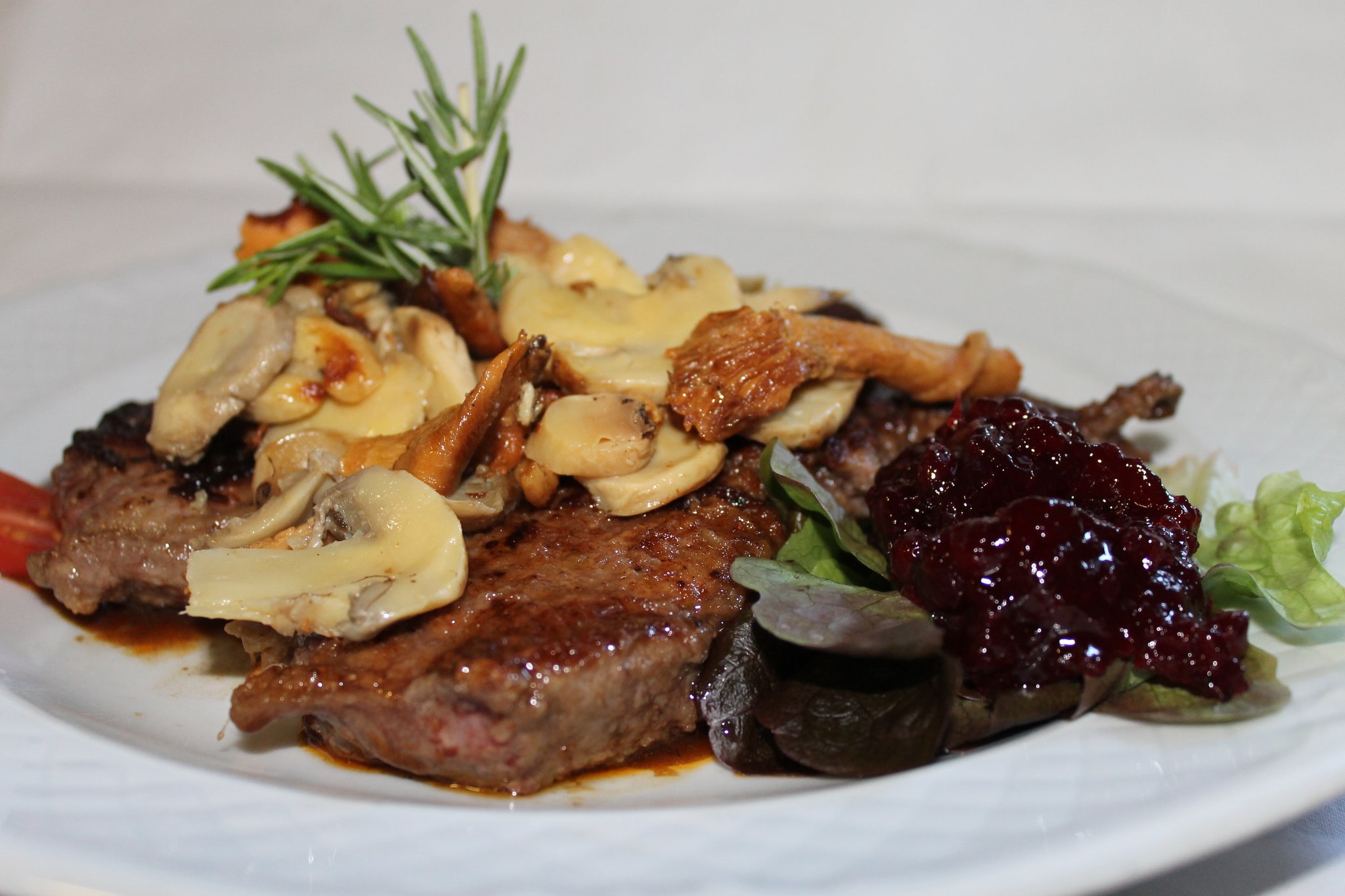 Das Beste der Saison: Reh, Hirsch & Co.: Es locken wieder feine ...