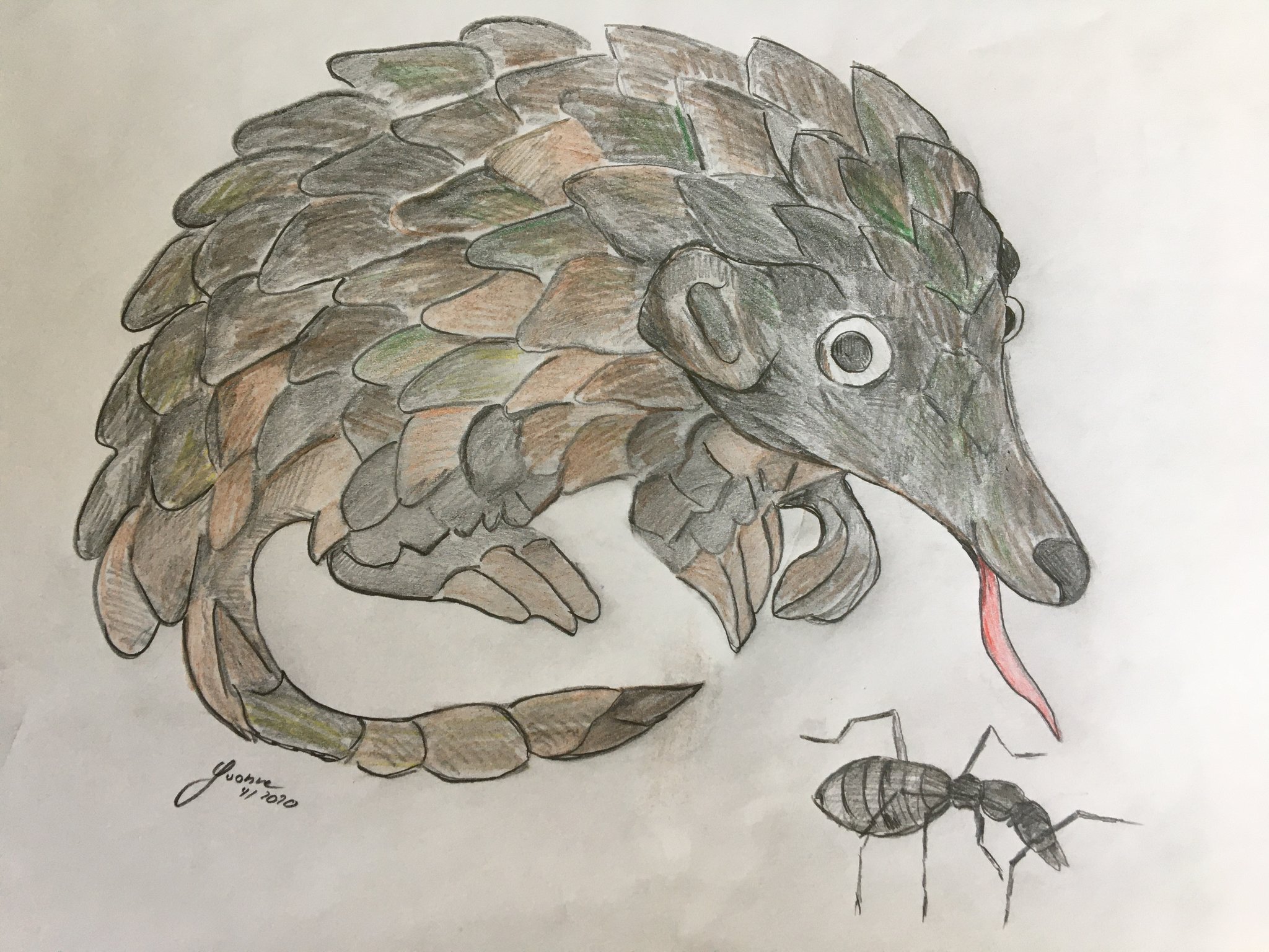 4. Enkel-Geschichte zu Corona: „Opa, was sind Zoonosen?“