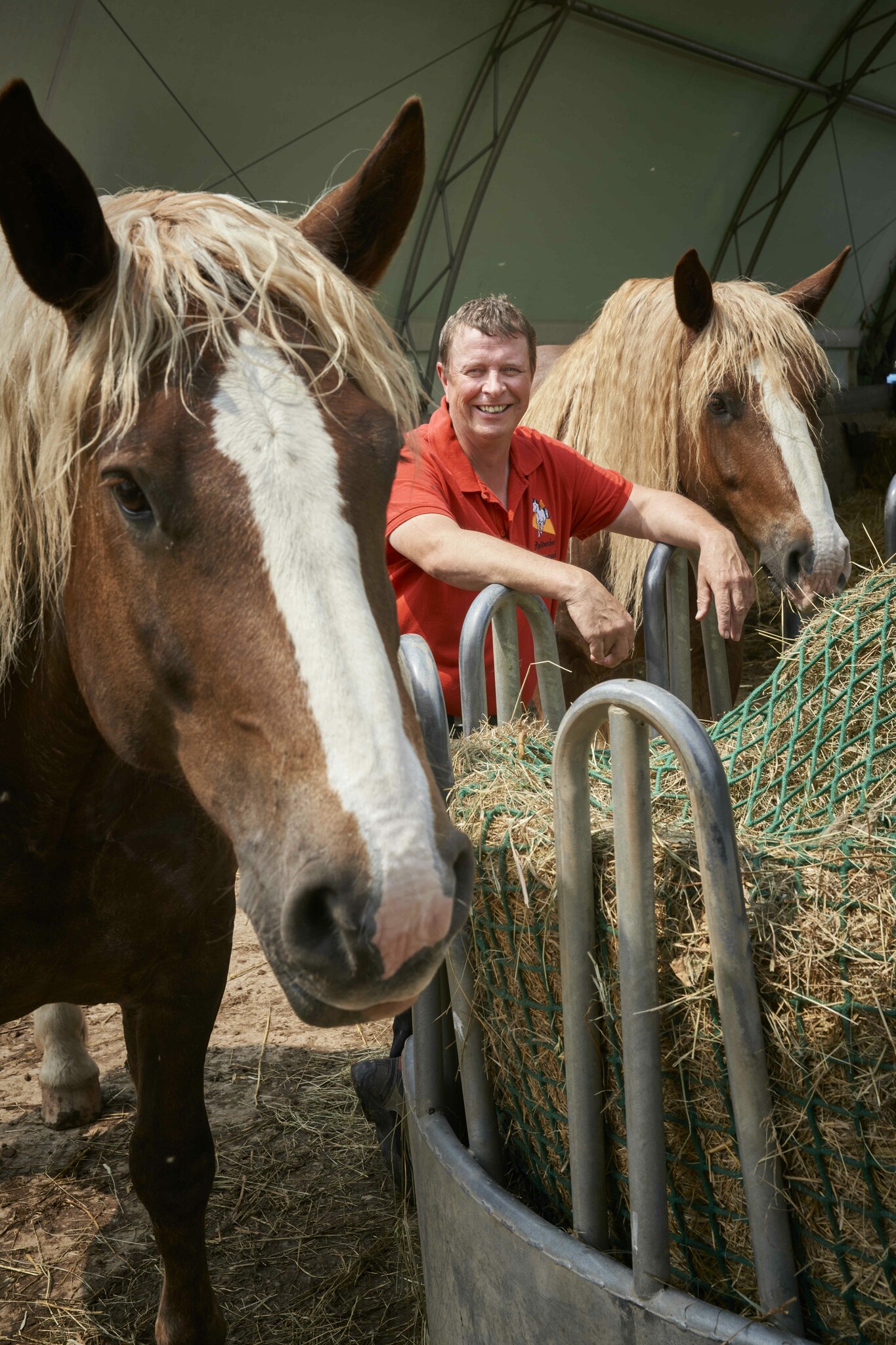 Thomas Beik züchtet Schwarzwälder: Glück gefunden mit heimischer Rasse ...