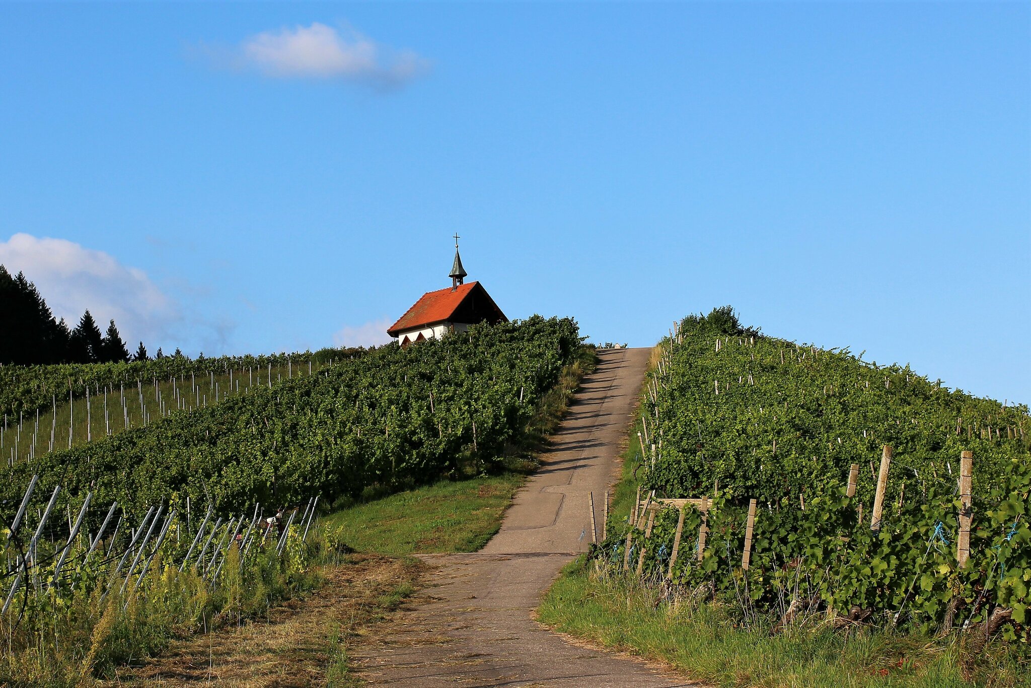 Flurkapelle "Maria im Weinberg" in Ohlsbach: Kapellchen wird zum ...