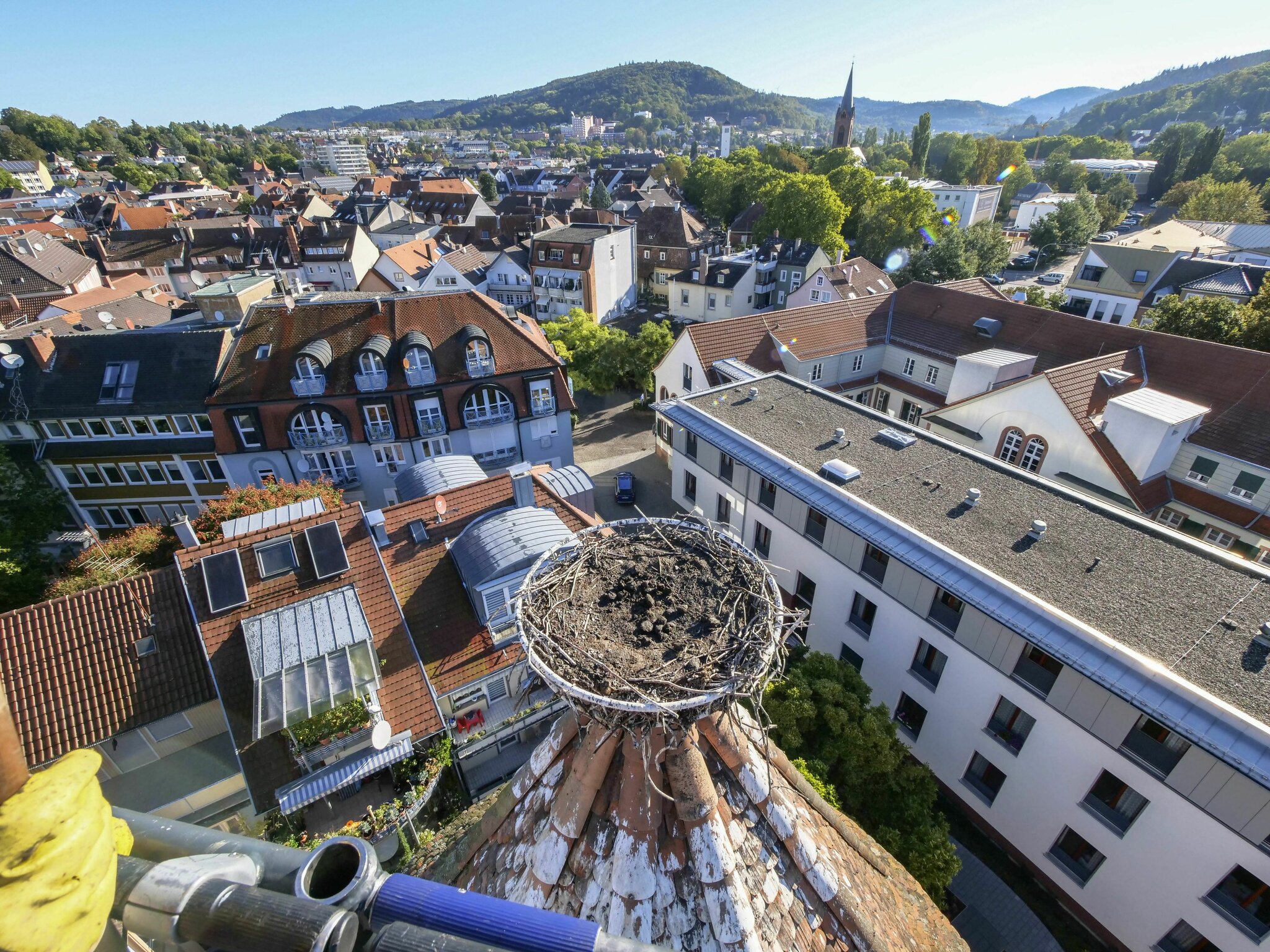 Frühjahrsputz im Herbst: Storchenturmnest wird für das nächste Jahr vorbereitet - Lahr