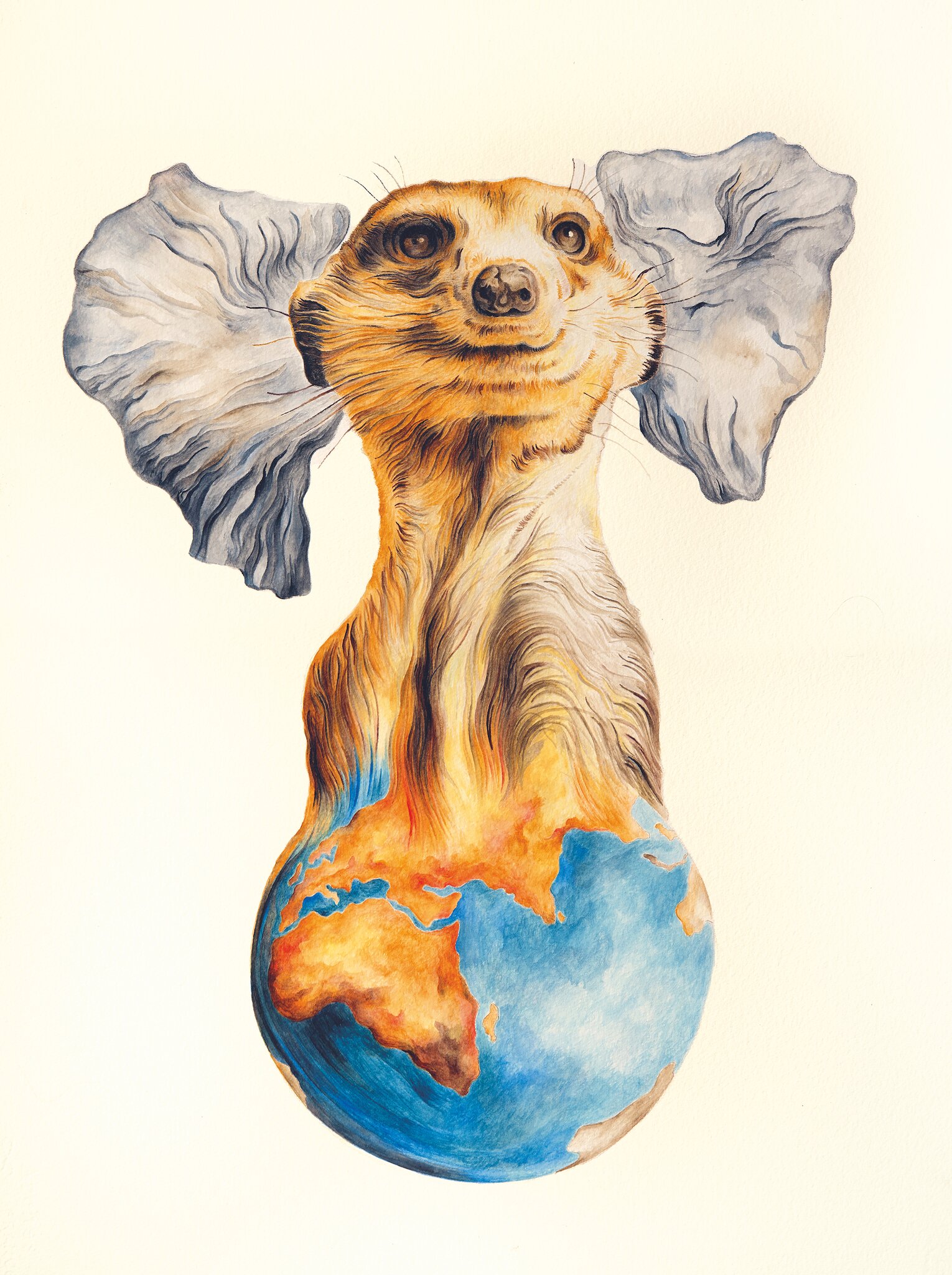 "Pambara" von Matto Barfuss: Kunstsammlung zum Film - Rheinau