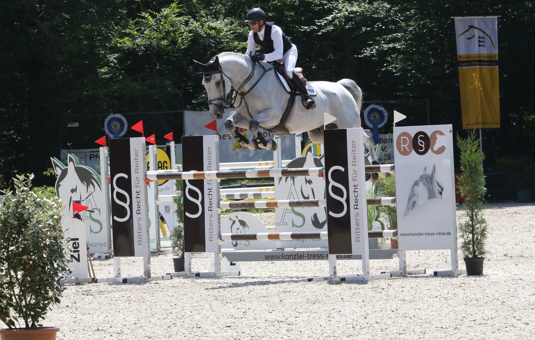 Meisterschaften im Reiten: Baden-Württembergische Reiterelite hat ...