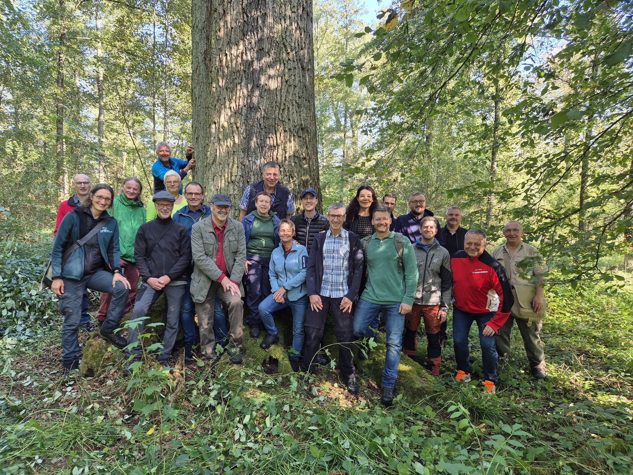 Jährliche Waldbegehung in Appenweier: Aufforstungsprojekte im Blick ...