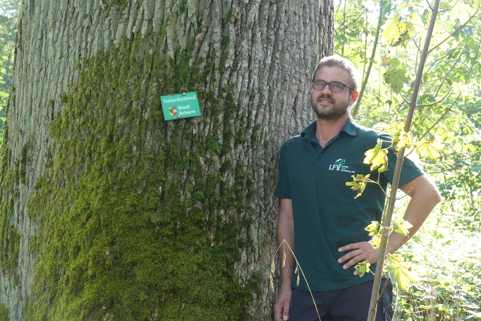 Kreisförster Thomas Westermann: Ein Revier - zwei verschiedene ...