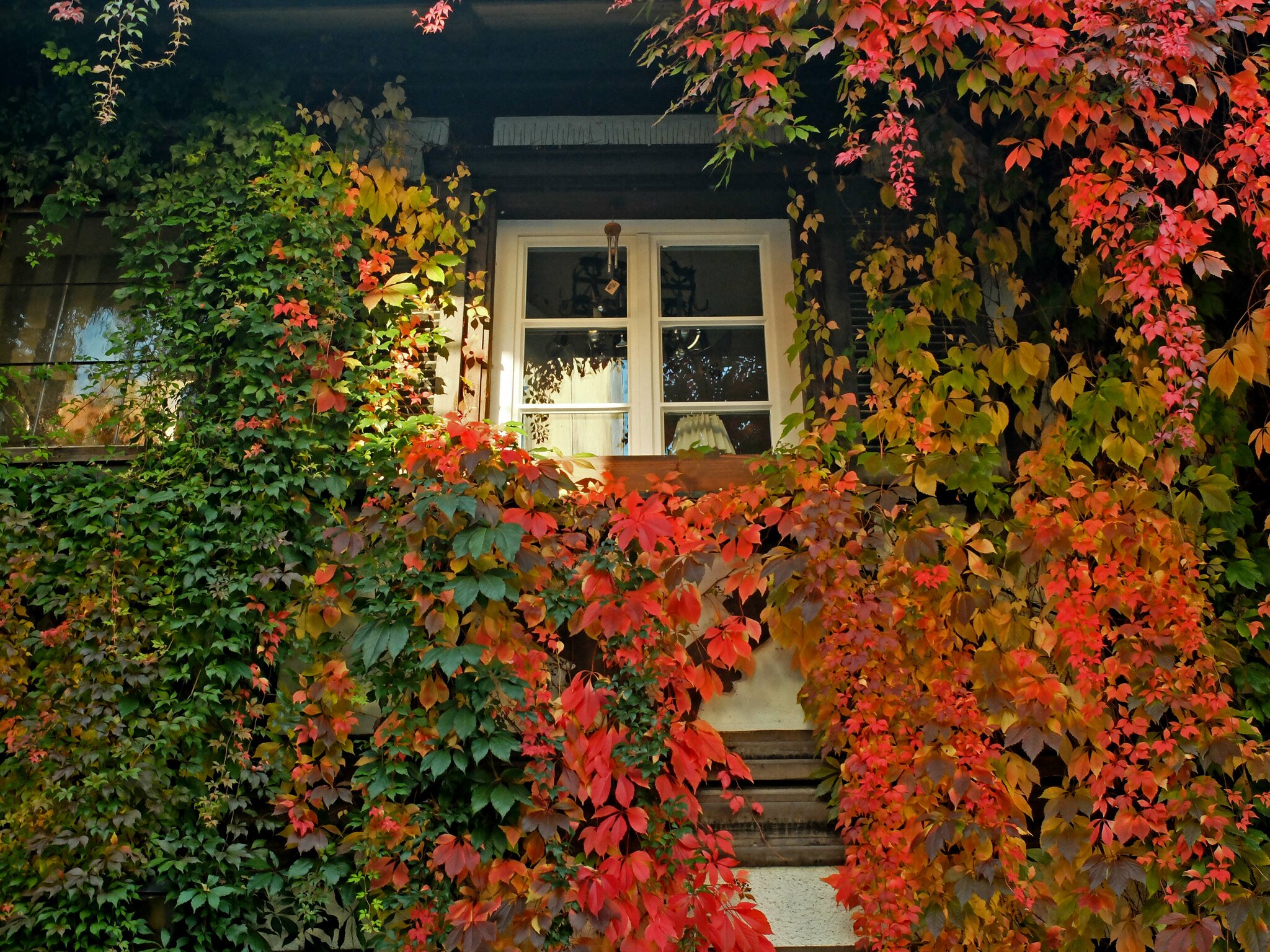Die dritte Jahreszeit: Fototour durch den Herbst - Gengenbach