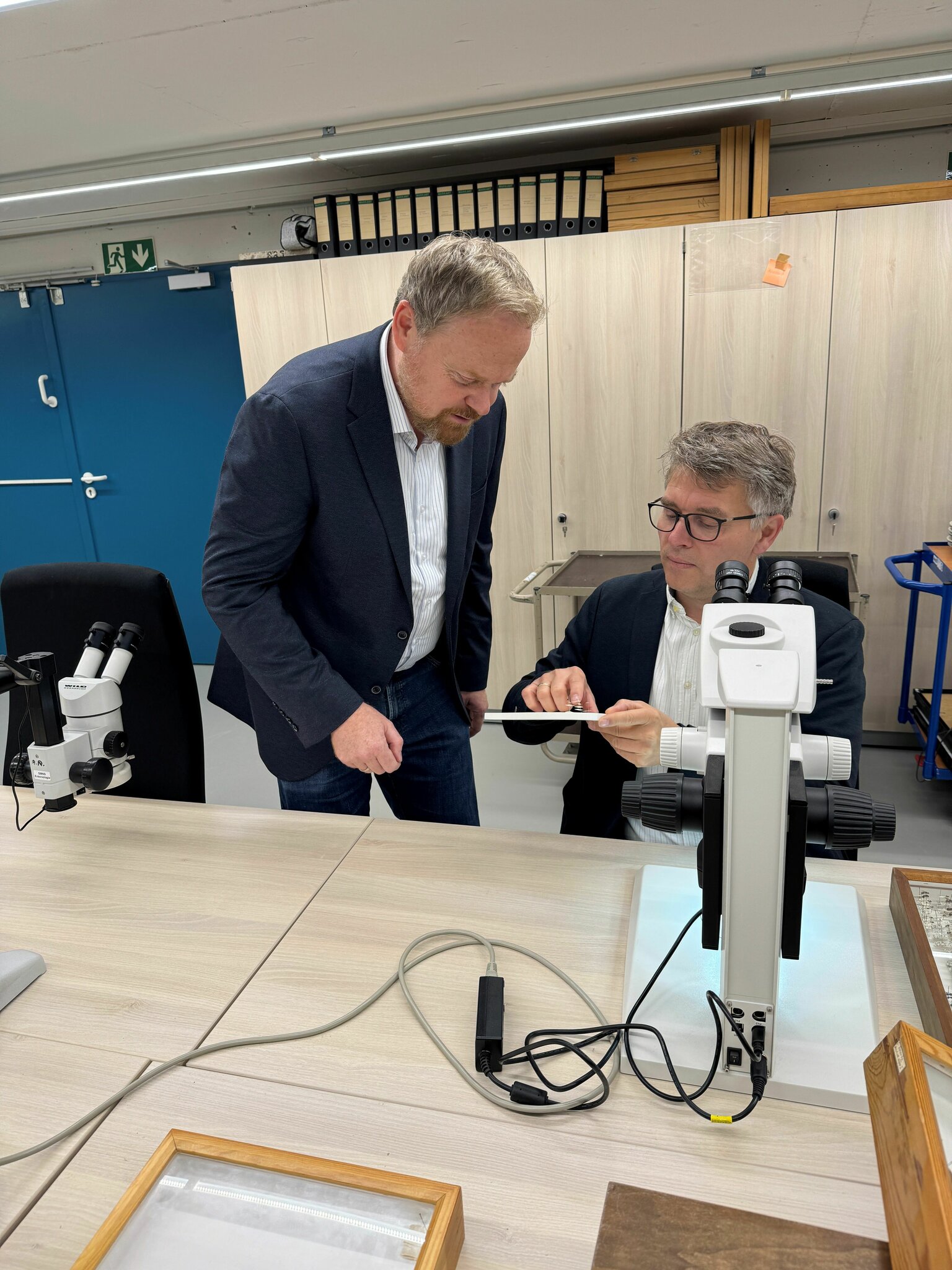 Tapinoma magnum: Gelder für Ameisen-Forschungsprojekt final beschlossen ...