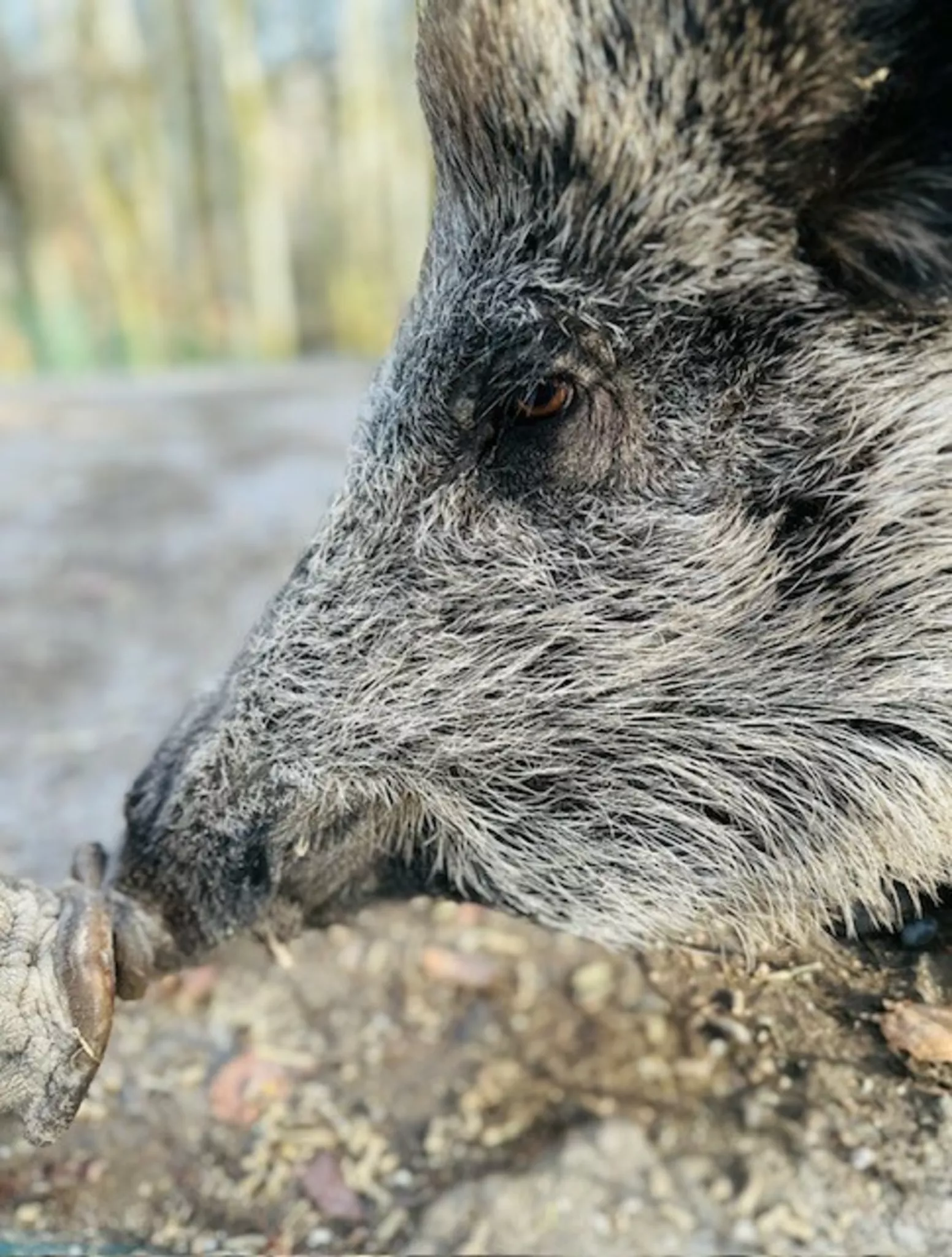 Ein Modell für Zusammenarbeit: Effiziente Jagdverwaltung in ...