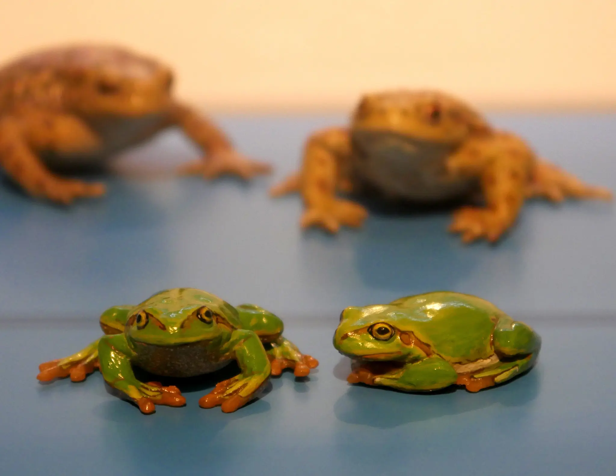 Museum im Ritterhaus Offenburg: Küss mich, ich bin ein Frosch