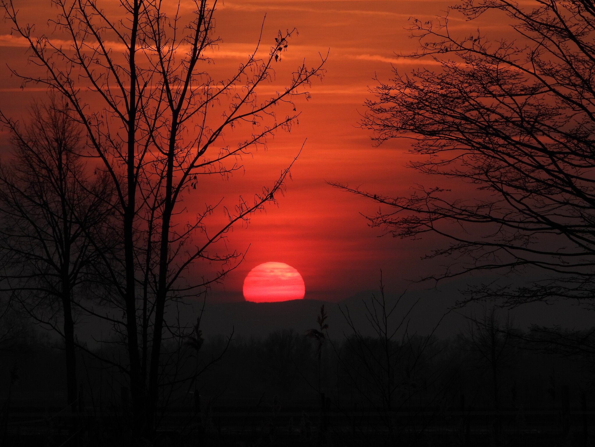 Die rot gestreifte Abendsonne