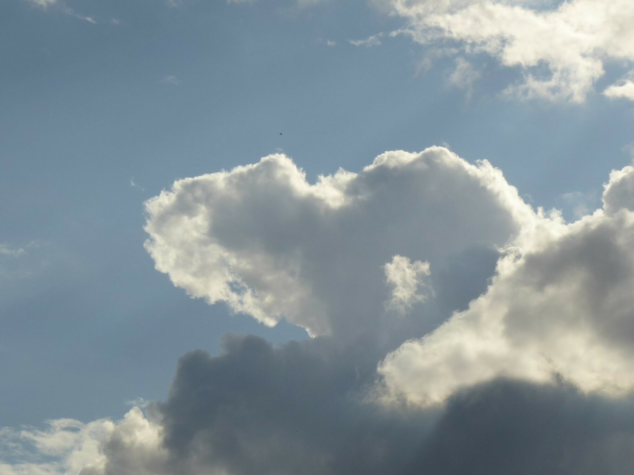 Dunkle herzliche Grüße